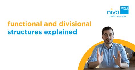 Functional Vs Divisional Structure Key Differences For Businesses