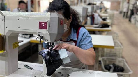 Жилд гурван сая арьсан хос гутал үйлдвэрлэх боломжтой