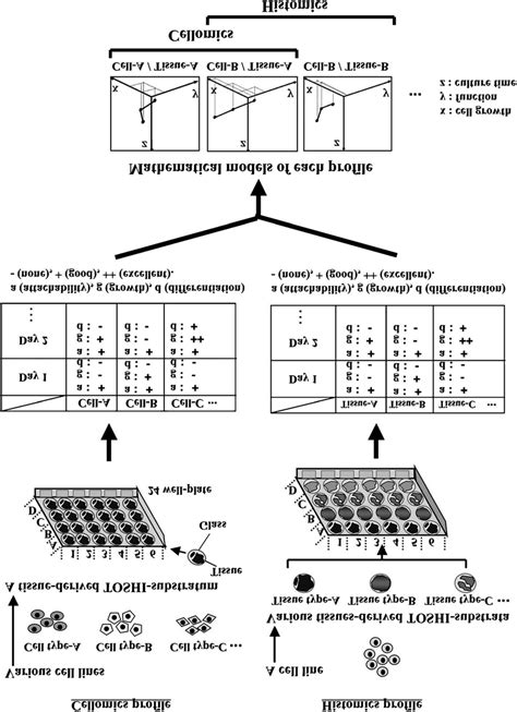 A Novel Concept For Constructing Mathematical Models To Facilitate Download Scientific Diagram