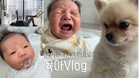 육아브이로그 출산다이어트 머미쿨쿨 수면육아템 모로반사이불 머미쿨쿨베드 Youtube