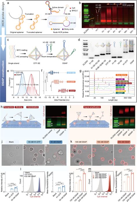 Dna Framework Signal Amplification Platform Based High Throughput Systemic Immune Monitoring
