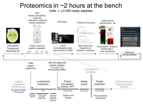 Samant Lab