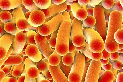 What Is C Diff And Cleaners To Kill Spores On Surfaces Cloroxpro