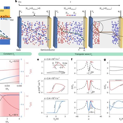Theory Of Ion Dynamic Capacitance In Transistors A Schematic Of Download Scientific Diagram