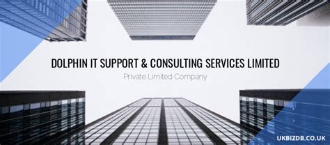 Dolphin It Support And Consulting Services Limited Cm5 9aa Company