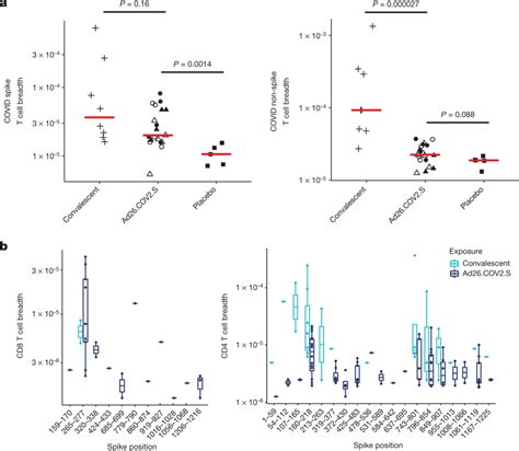 Tcrβ Repertoire Analysis A Spike And Non Spike T Cell Breadth By Tcrβ