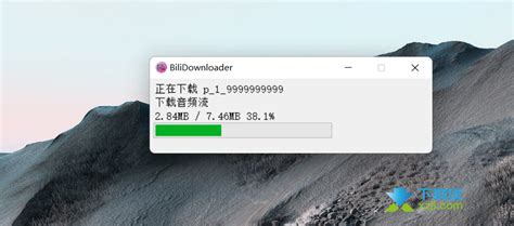 Bilidownloaderb站视频下载工具使用方法介绍 下载集