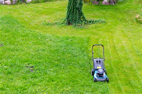 잔디 깎고 녹색 잔디 잔디 깎는 기계 잔디 깎는 사람 잔디 장비입니다 정원사 관리 작업 도구 가까이 보기 화창한 날을 깎고 공원에 대한 스톡 사진 및 기타 이미지 Istock