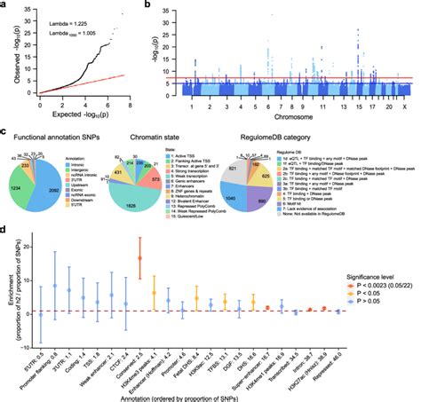 Results Of Cross Traits Meta Analysis By ASSET Based On Download Scientific Diagram