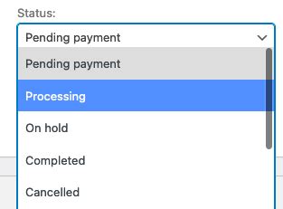 How To Change Order Status Name In WooCommerce Lawlow Studios