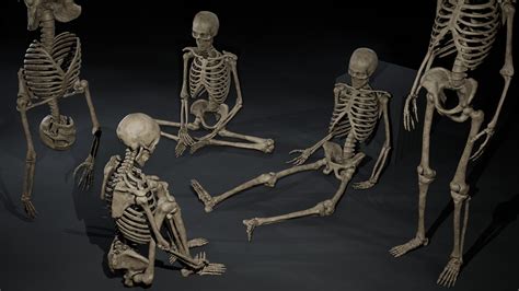 Skeleton Bones Unreal Engine Asset