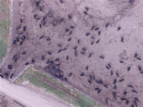 Nov 9 Preprocessed Object Detection Dataset By Nsg