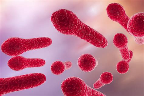 Drug Disarms Deadly C Difficile Bacteria Without Destroying Healthy Gut Flora News Center