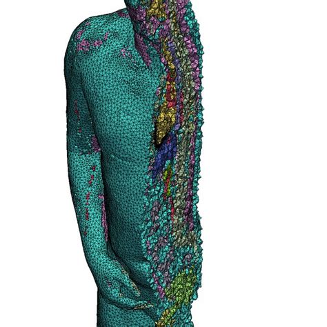 unstructured tetrahedral mesh for vhp reference model with aggressive download scientific