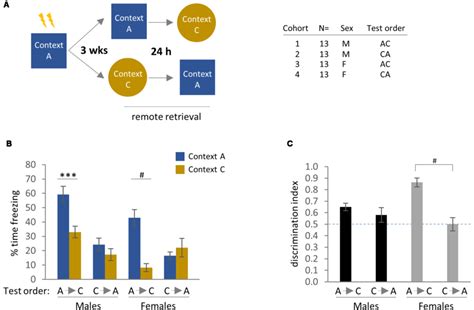 Remote Contextual Fear Generalization Using Context That Retains Metal Download Scientific