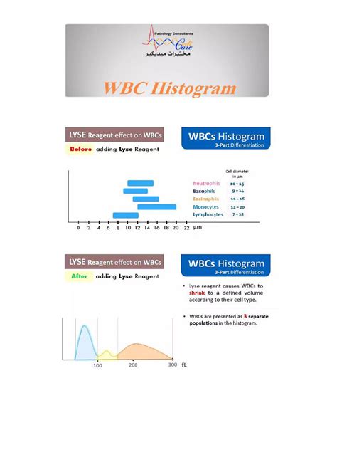 Wbc Histogram Chaker Pdf