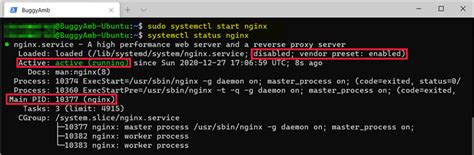 安装 Nginx 并将其配置为反向代理服务器 ASP NET Core Microsoft Learn