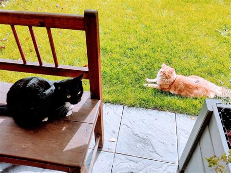 Dr Lofi Dewanto On Linkedin Dynamite Duo Gwt Boot And Spring Boot