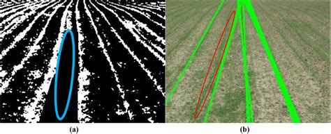 Image‐based Crop Row Detection Utilizing The Hough Transform And Dbscan Clustering Analysis