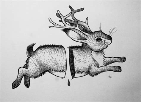 Jackalope Drawing At PaintingValley Com Explore Collection Of Jackalope Drawing