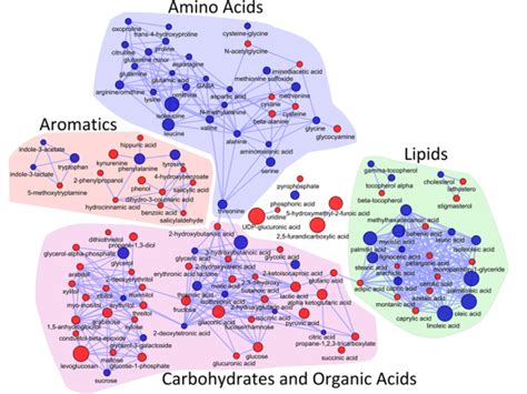 Tutorial Building Biological Networks R Bloggers