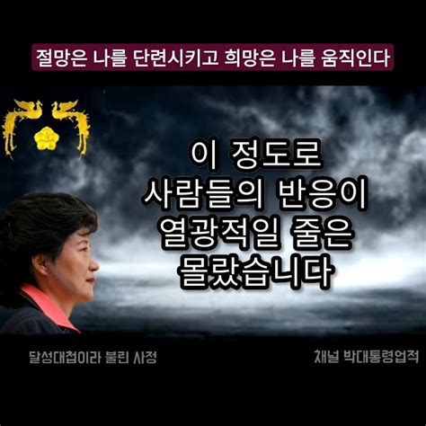 박근혜 대통령 자서전 절망은 나를 단련시키고 희망은 나를 움직인다 달성대첩이라 불린 사정 President Park Guen Hyes Autobiography