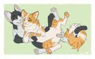 Warrior Cats