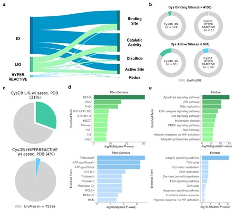 Cysteines With Available Functional And Structural Annotations A