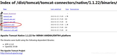 解决the apr based apache tomcat native library which allows optimal