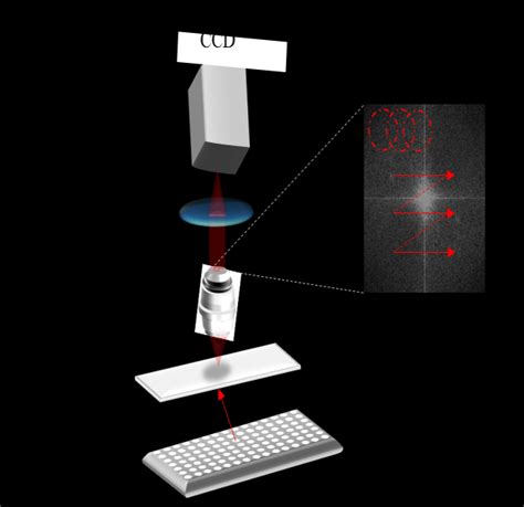 Fourier Ptychographic Imaging Setup [2] Download Scientific Diagram
