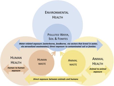 Insights Into Editorial A ‘one Health Approach That Targets People