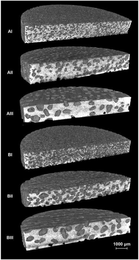 3d Reconstruction Of Porous Ti Disc Samples Download Scientific Diagram