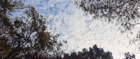 练太极拳如何放松下肢 右脚 重心 身体
