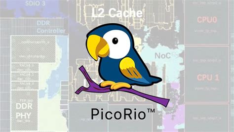 Avec Picorio Lécosystème Risc V Aura Bientôt Son Raspberry Pi