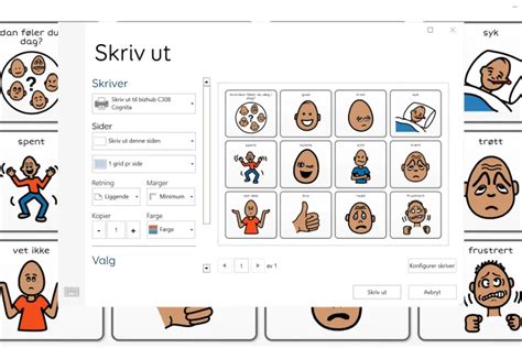 Grid Print Lisens Abilia