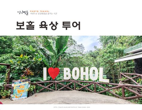 가족 해외여행 필리핀 보홀 육상 투어 보홀 데이투어 And 보홀 반딧불 투어 네이버 블로그