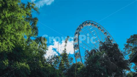 호주 사우스뱅크 관람차 브리즈번 Australia 사진이미지일러스트캘리그라피 블레어다작가