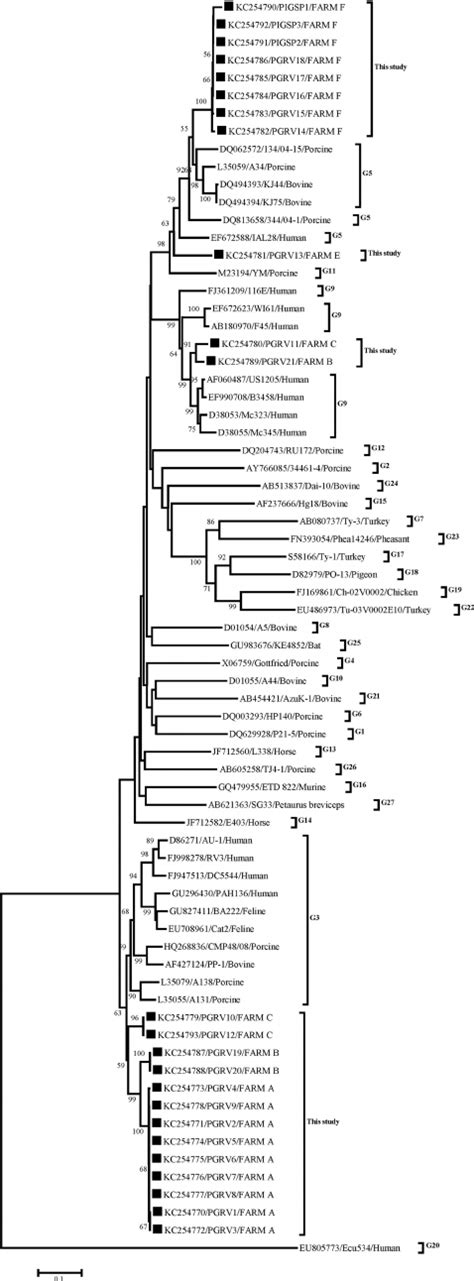 Neighbor Joining Maximum Composite Likelihood Mcl Phyloge Download Scientific Diagram