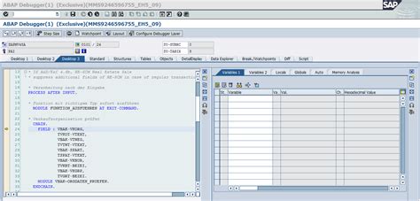 SAP Debugging Techniques Mastering Functional Debugging And ABAP Debugging In SAP For Seamless