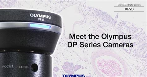 Life Science Microscopes Olympus