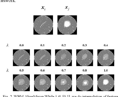 Figure 2 From AlignMixup Based Classification Of Mixed Type Defect Patterns In Wafer Bin Maps