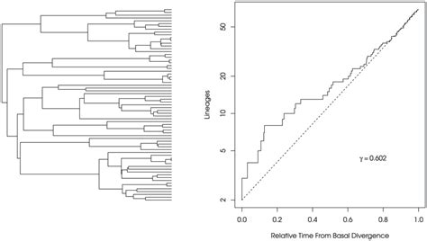 Exemplar Lineages Through Time Plot An Example Of A Download