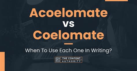 Acoelomate Vs Coelomate When To Use Each One In Writing
