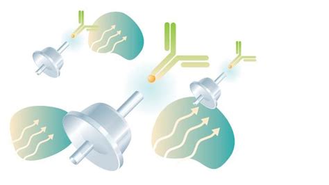 Automated Epitope Binning In A Single Assay Technology Networks