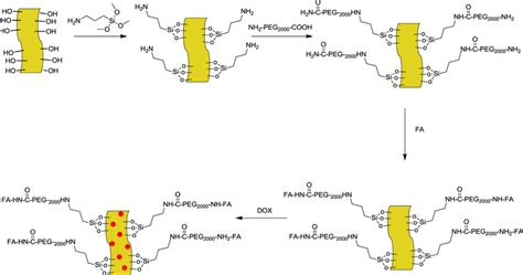 Synthetic Route Of Mno2 Peg Fa And Loading Of Doxorubicin Download