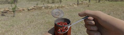 maaly g season i b42 inject animation pack at fallout new vegas mods and community