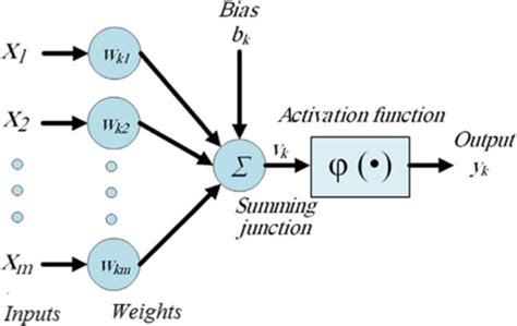 2 Model Of A Neuron Download Scientific Diagram