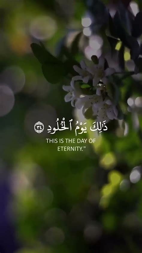 وازلفت الجنة للمتقين تلاوة خاشعة Youtube