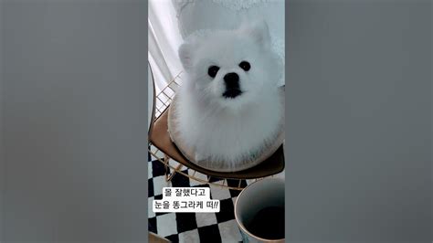 엄마한테 혼 날때 공감눈은 어떻게 떠야 돼요😂 Youtube