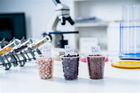 Chemical Laboratory Of The Food Supply Food In Laboratory Dna Modify